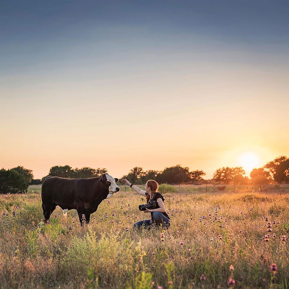 Nomadic Photographer Lives, Works & Travels Solo In Her Trusty Teardrop ...