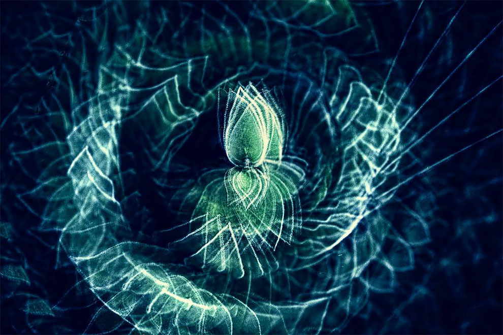 These Photos Were Made By Spinning The Camera While Shooting » Design ...