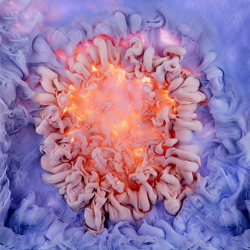 Aqueous Roses And Liquid Blooms Photographed By Mark Mawson » Design ...