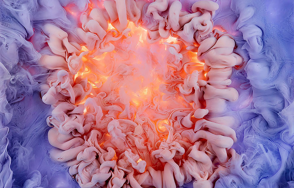 Aqueous Roses And Liquid Blooms Photographed By Mark Mawson » Design ...