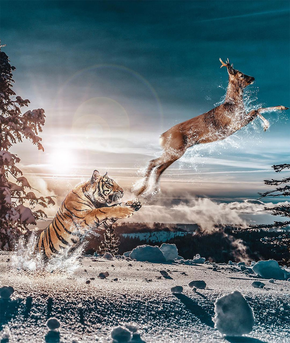 Dreamlike Images That Will Inspire Your Surrealist Soul » Design You ...