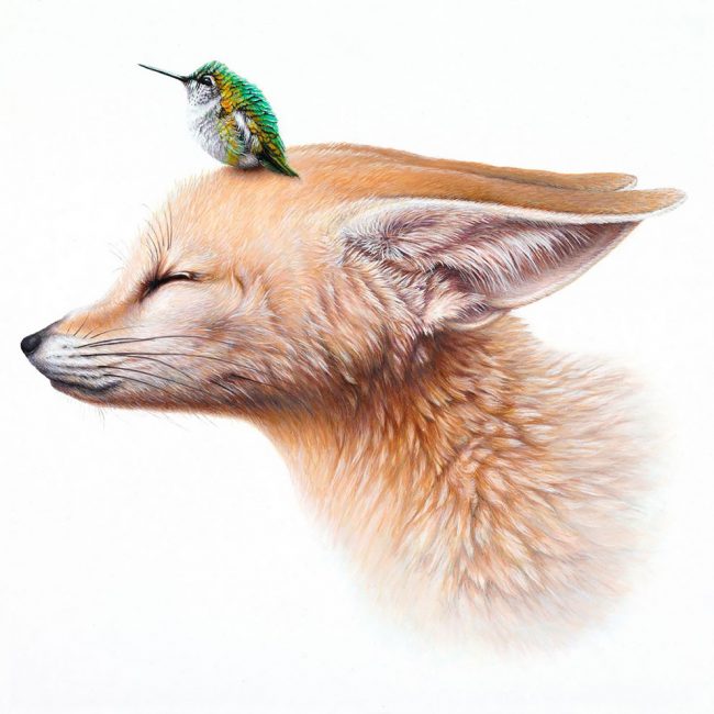 This Artist Transforms The Animal World Into One Of Puzzling Beauty And ...