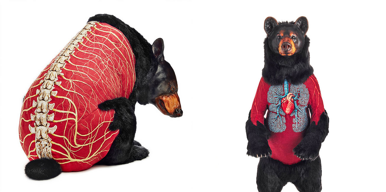 Deborah Simon’s ‘Flayed’ Bears Reflect On Human, Animal Relationships ...