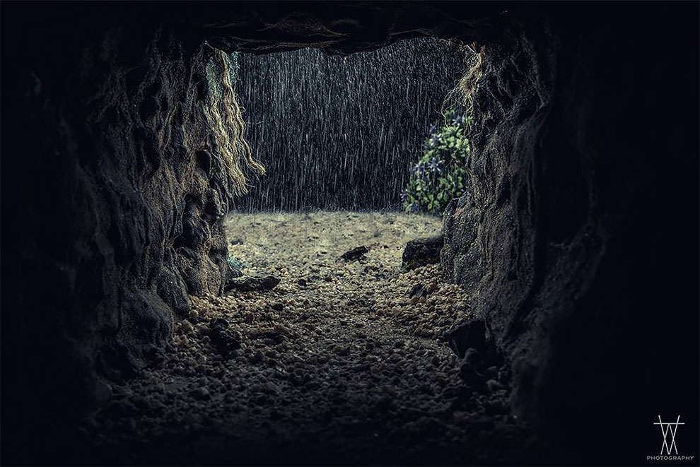 Still Life Photographer Creates Epic “Outdoor” Scenes Almost Without ...