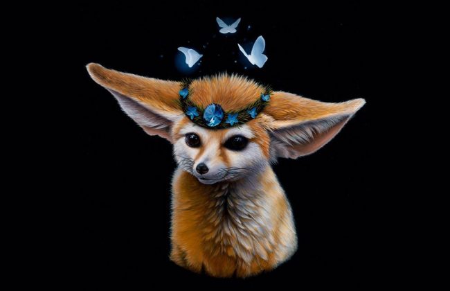This Artist Transforms The Animal World Into One Of Puzzling Beauty And ...