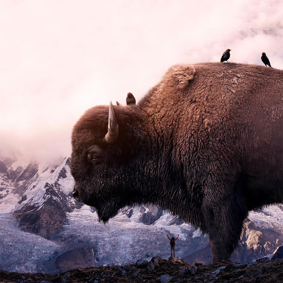 Artist Ted Chin Creates Stunning Dreamlike And Surreal Photo ...