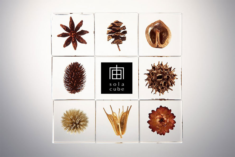 The Real Objects Of Nature Preserved In Acrylic Cubes » Design You ...