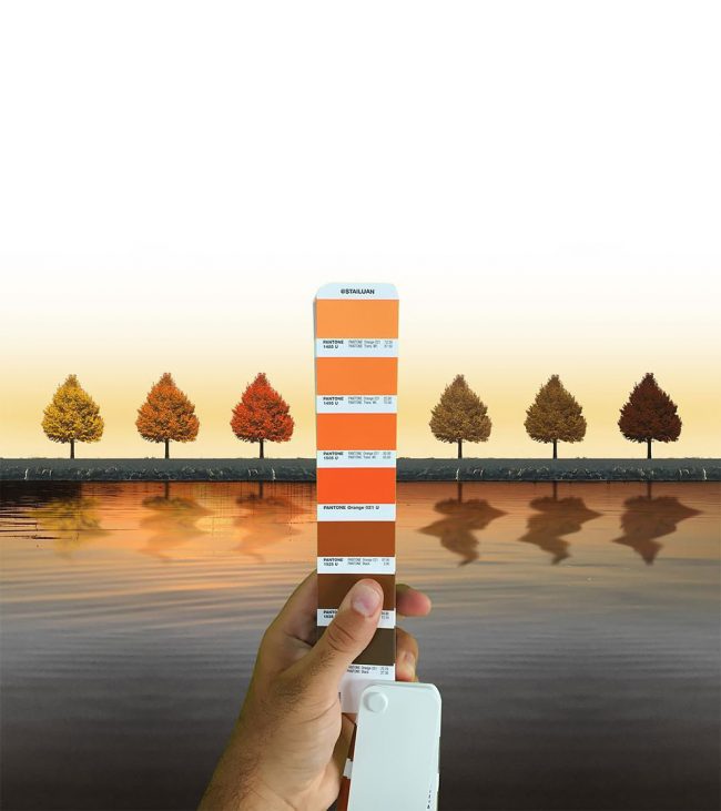 Graphic Designer Andrea Antoni Finds Pantone Colors In The Natural ...