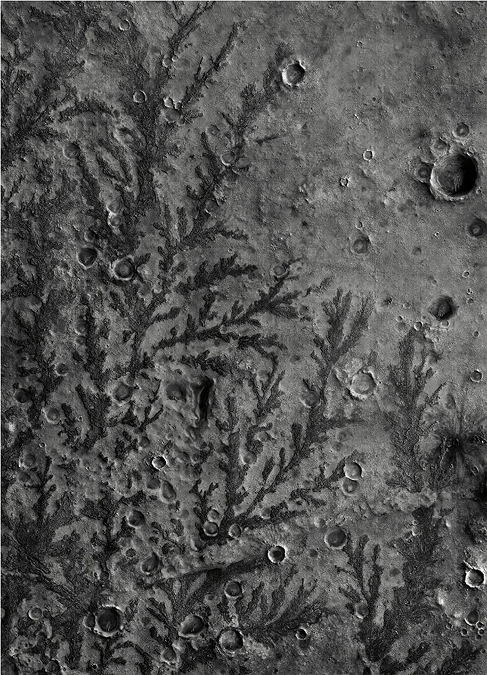 ‘This Is Mars’: A US Satellite Took These Stunning Black-And-White ...