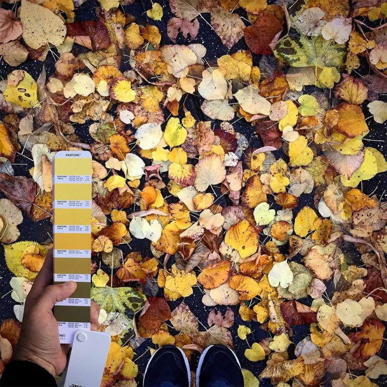 Graphic Designer Andrea Antoni Finds Pantone Colors In The Natural ...