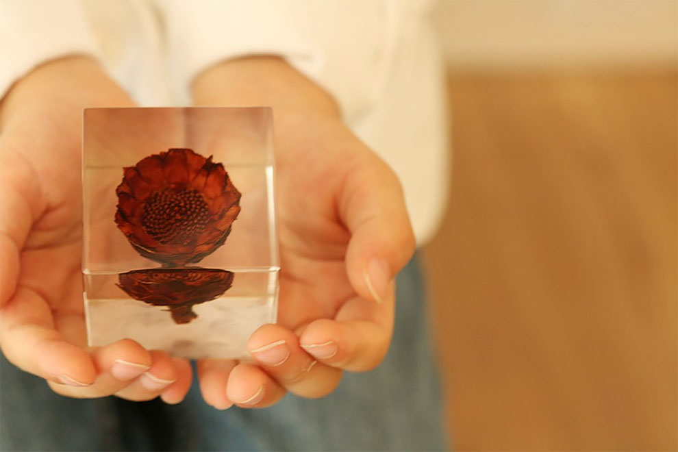 The Real Objects Of Nature Preserved In Acrylic Cubes » Design You ...