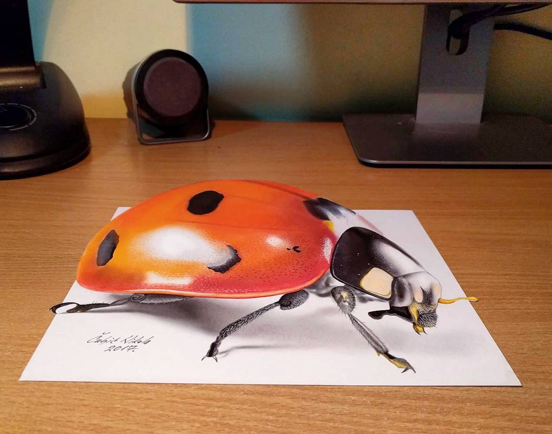 These Amazing Drawings Appear To Jump Out Of The Page » Design You ...