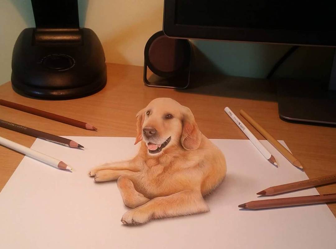 These Amazing Drawings Appear To Jump Out Of The Page » Design You ...