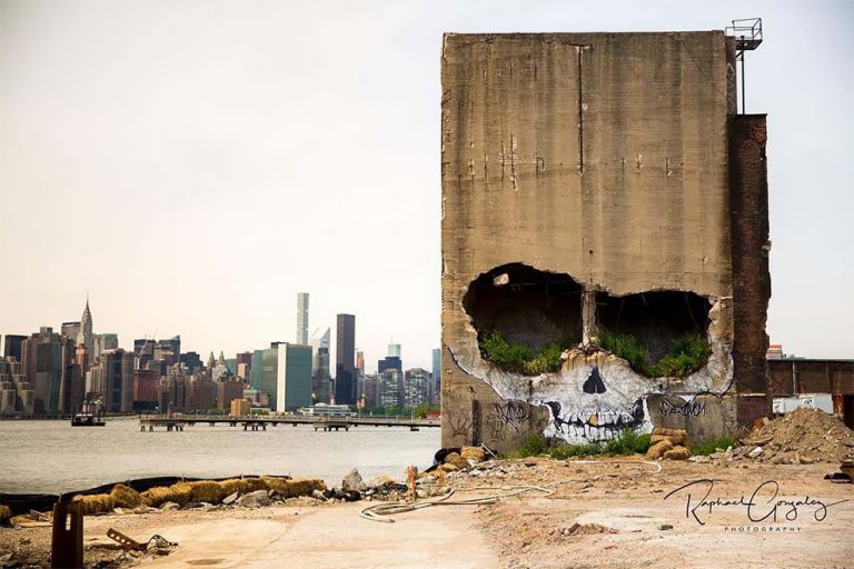 Street Artist Greg Suits Turns An Abandoned Building Into A Giant Skull ...