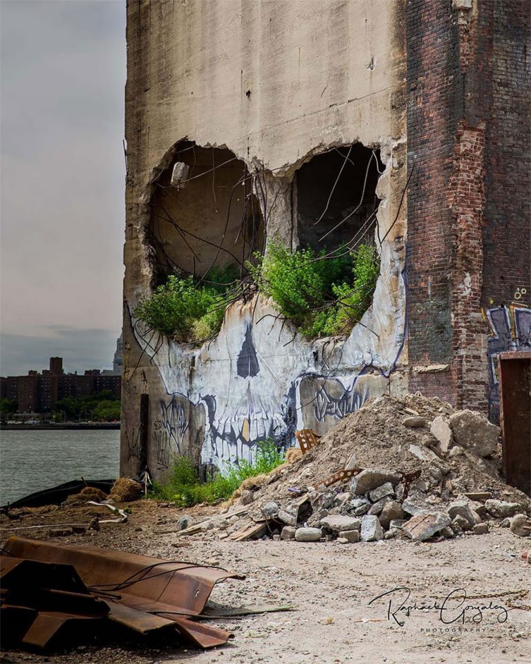 Street Artist Greg Suits Turns An Abandoned Building Into A Giant Skull ...