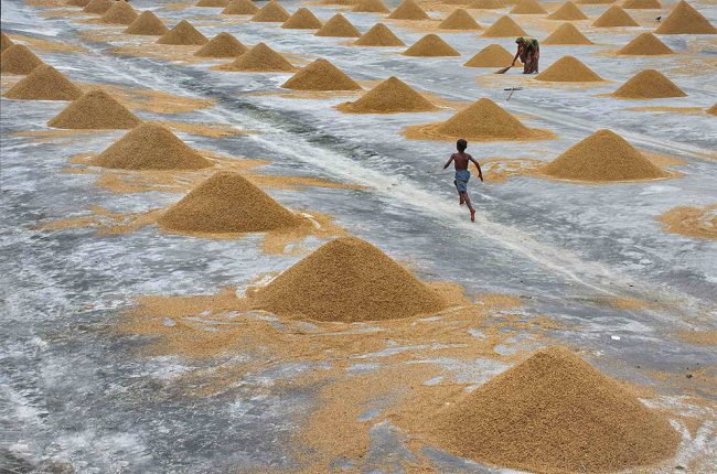 Pyramid-Shaped Covers Used To Protect Rice In Bangladesh » Design You ...