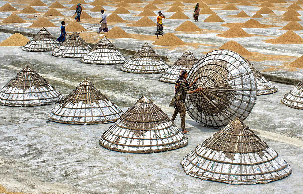 Pyramid-Shaped Covers Used To Protect Rice In Bangladesh » Design You ...