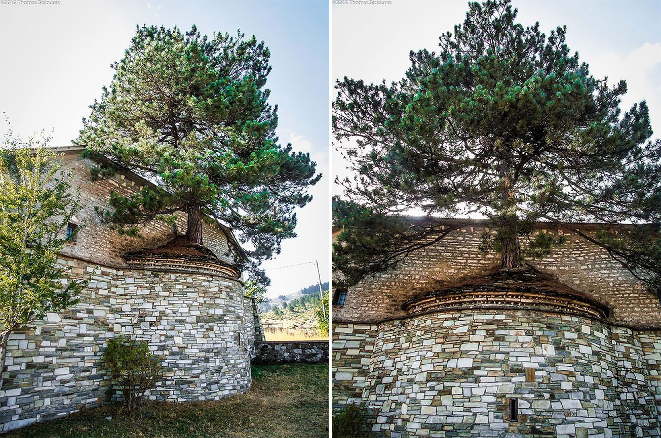 A 100+ Year Old Tree Growing Inside A Church In Greece » Design You ...