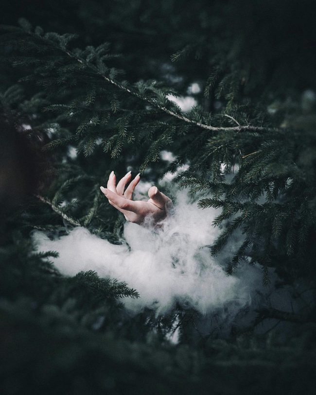 “Secret Window, Secret Garden”: Dreamlike Photography By Shaina ...