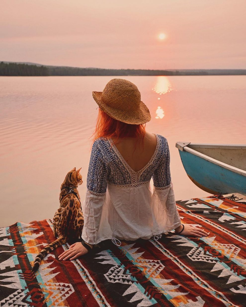Meet Suki, The Adventure Wondercat Who Became An Instagram Star ...