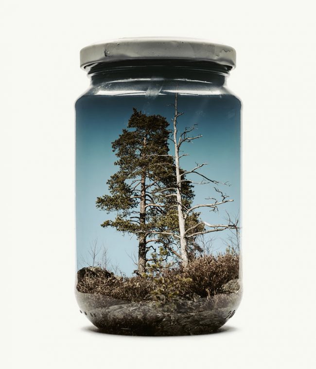 Photographer Christoffer Relander Captures Colorful Landscapes In Jars ...