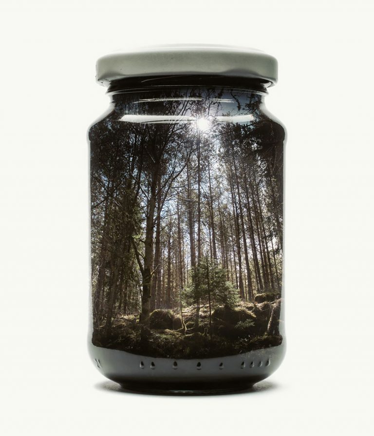 Photographer Christoffer Relander Captures Colorful Landscapes In Jars ...
