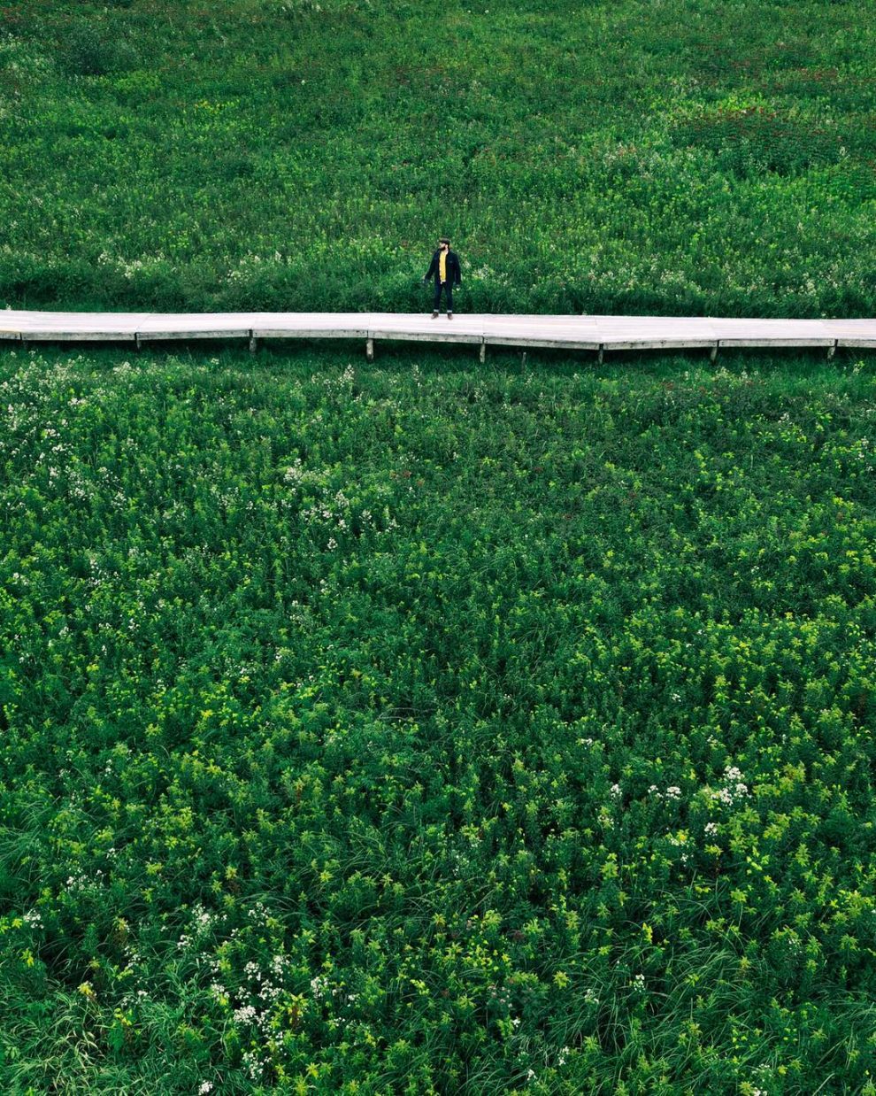 Symmetric Top-Down Photographs Inspired By Nintendo Games Of The 80’s ...