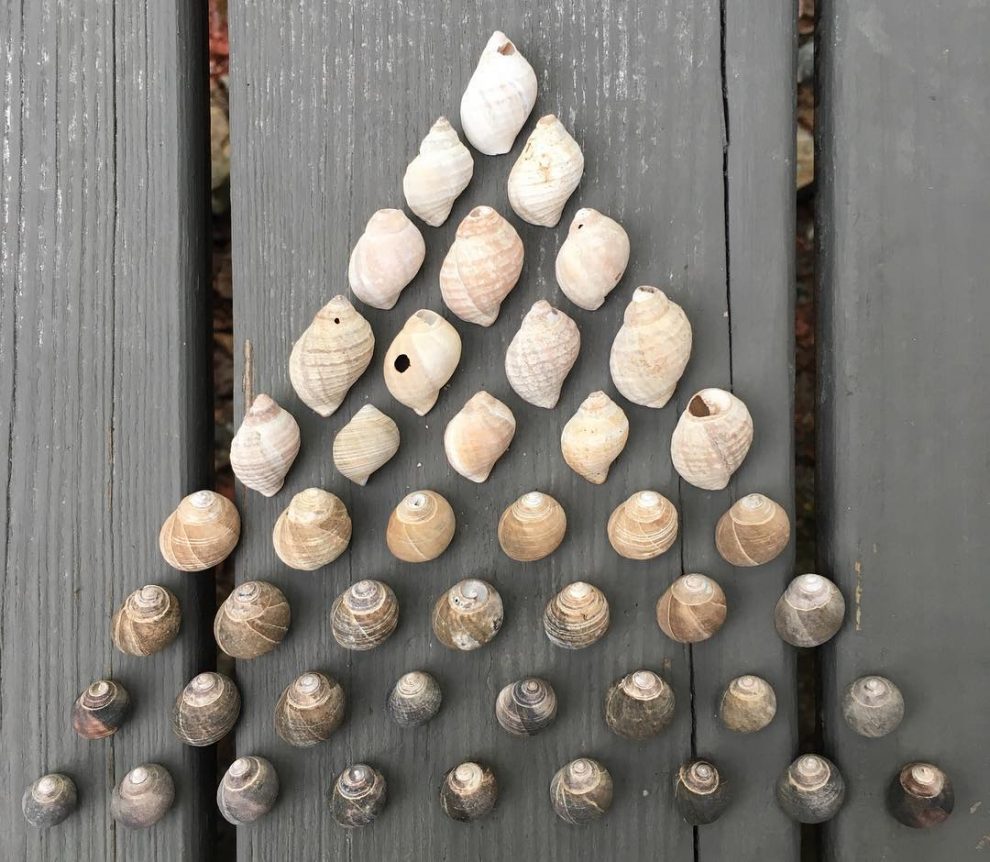 Everyday Objects Obsessively Organized Into Patterns By Adam Hillman ...