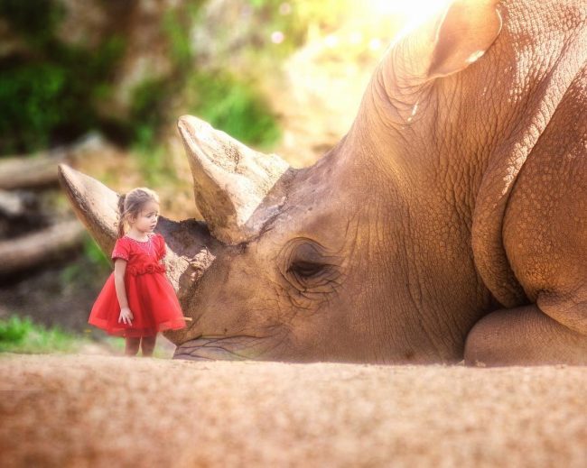 “Giant Animals And Tiny Humans”: Breathtaking Surreal Photo ...