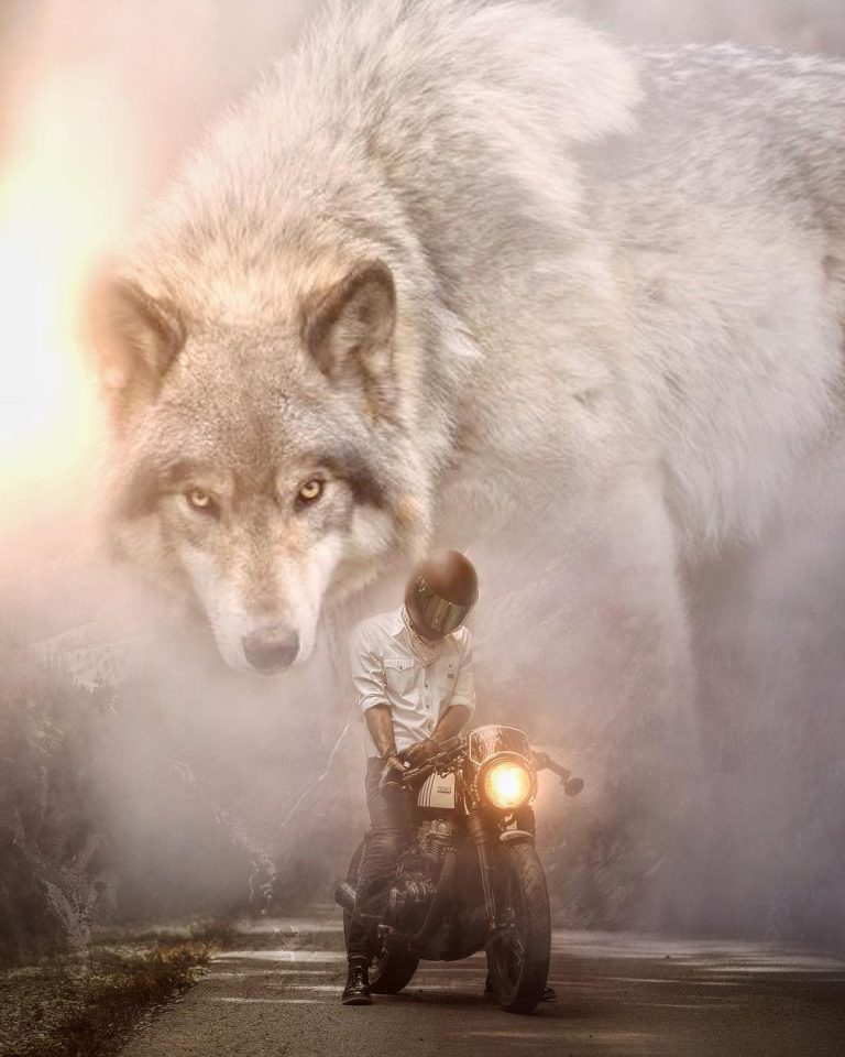 “Giant Animals And Tiny Humans”: Breathtaking Surreal Photo ...