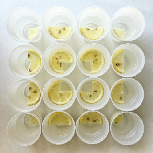 Everyday Objects Obsessively Organized Into Patterns By Adam Hillman ...