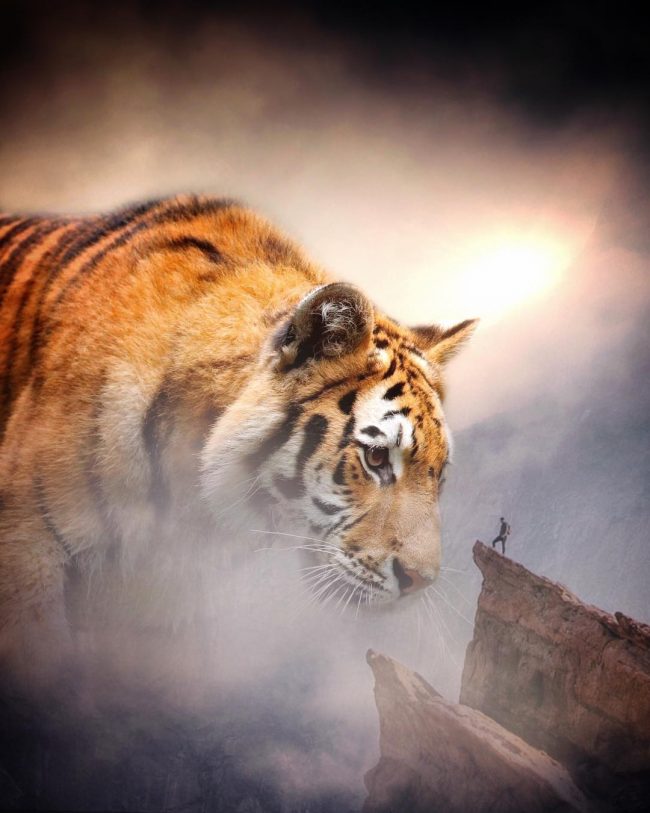 “Giant Animals And Tiny Humans”: Breathtaking Surreal Photo ...