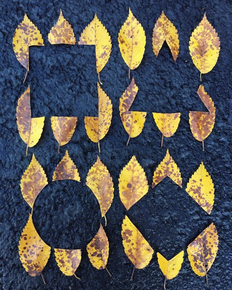 Everyday Objects Obsessively Organized Into Patterns By Adam Hillman ...