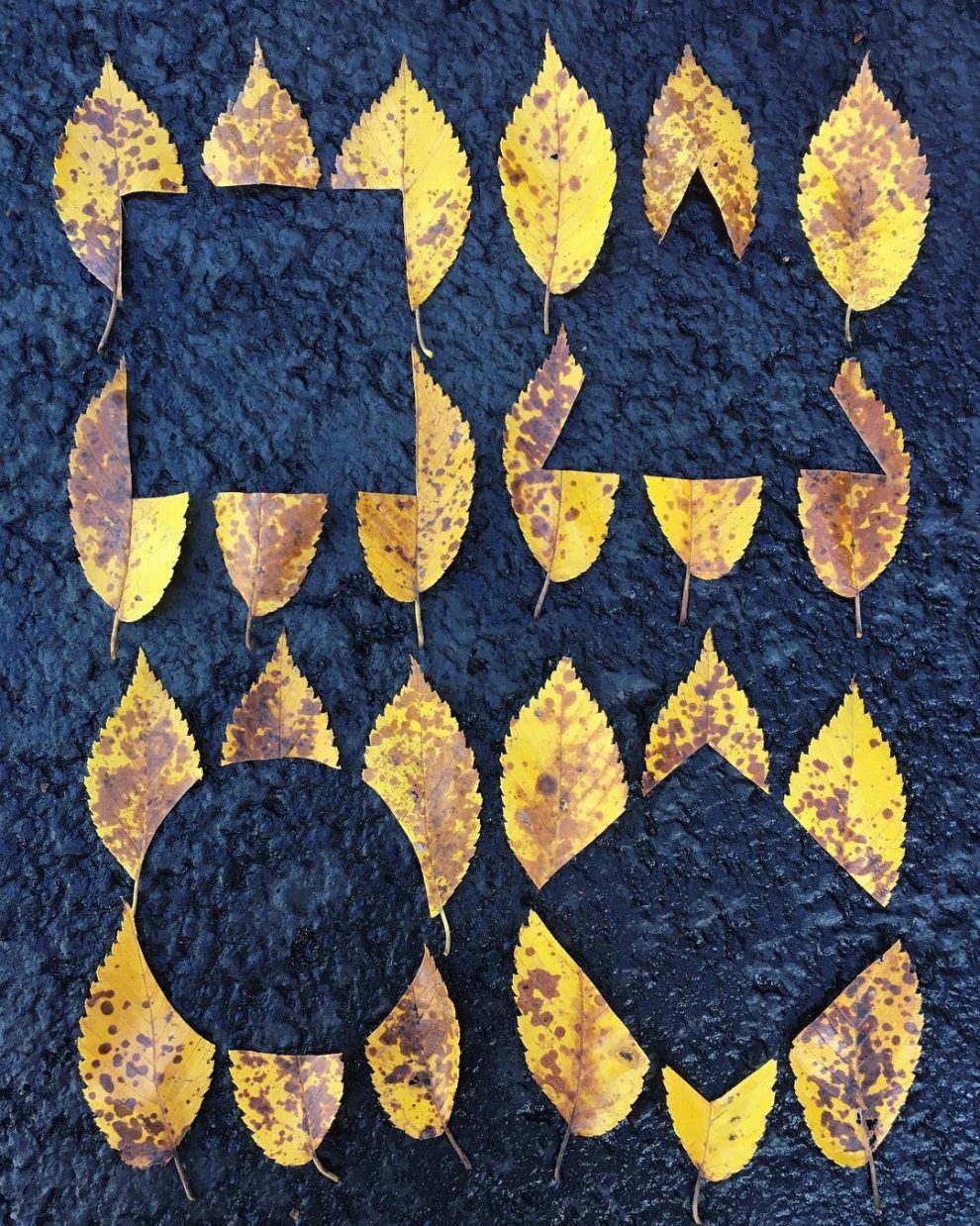 Everyday Objects Obsessively Organized Into Patterns By Adam Hillman ...