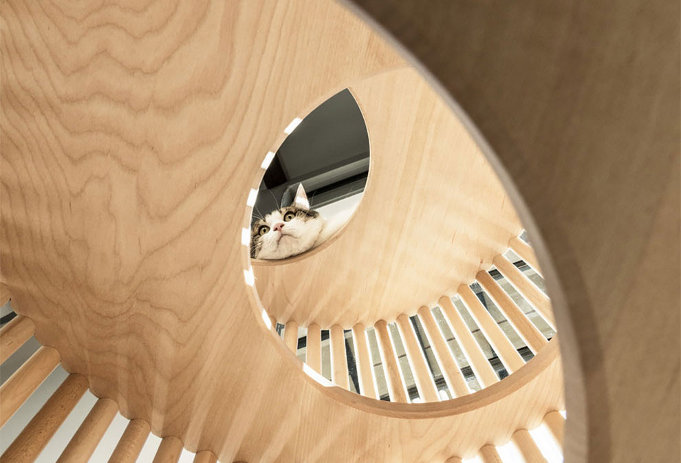 This Modern Cat Tree Designed To Feel Your Cats At Anytime » Design You ...