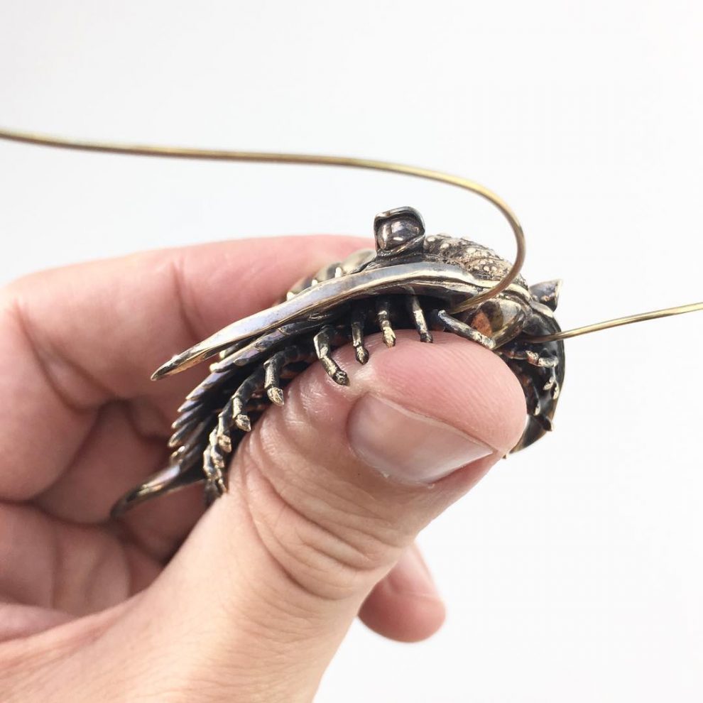 Assistant Professor Of Biochemistry & Molecular Biology Creates Amazing ...