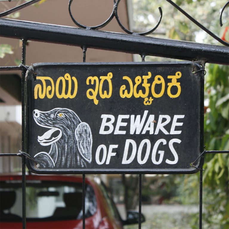 The Wired Beauty Of The Street Lettering Of India » Design You Trust ...
