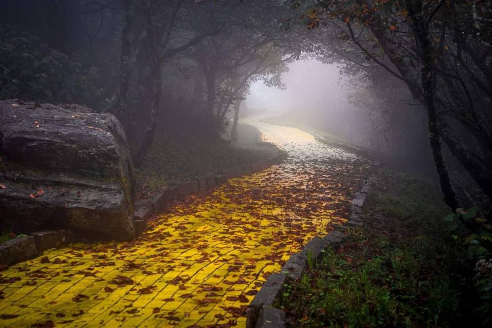 Photographer Johnny Joo Captures Forgotten Structures Overtaken By ...