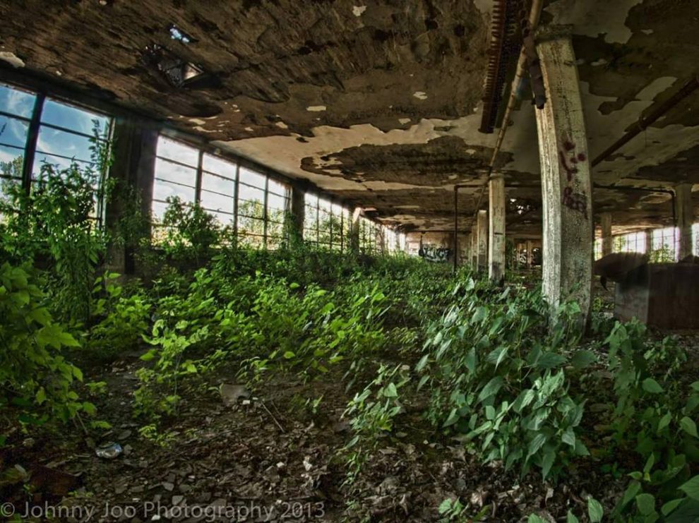Photographer Johnny Joo Captures Forgotten Structures Overtaken By ...