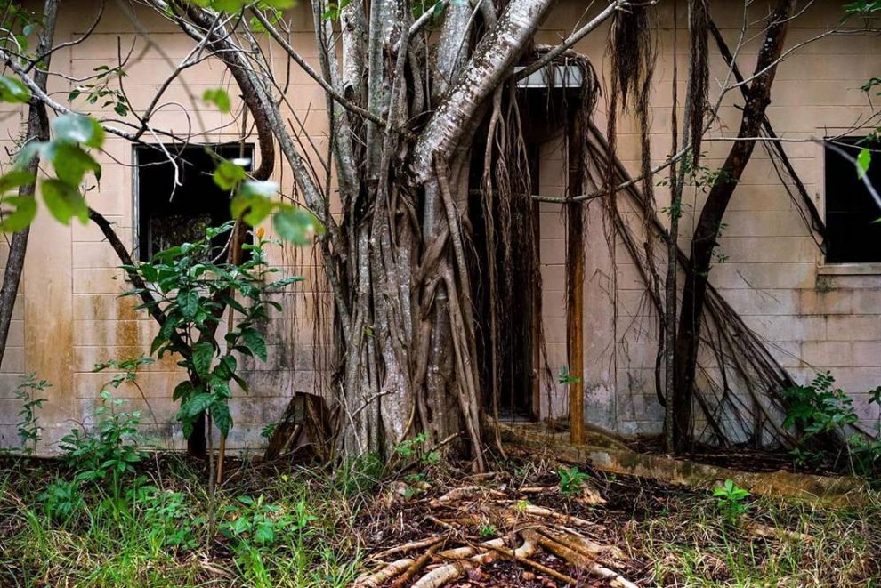 Photographer Johnny Joo Captures Forgotten Structures Overtaken By ...
