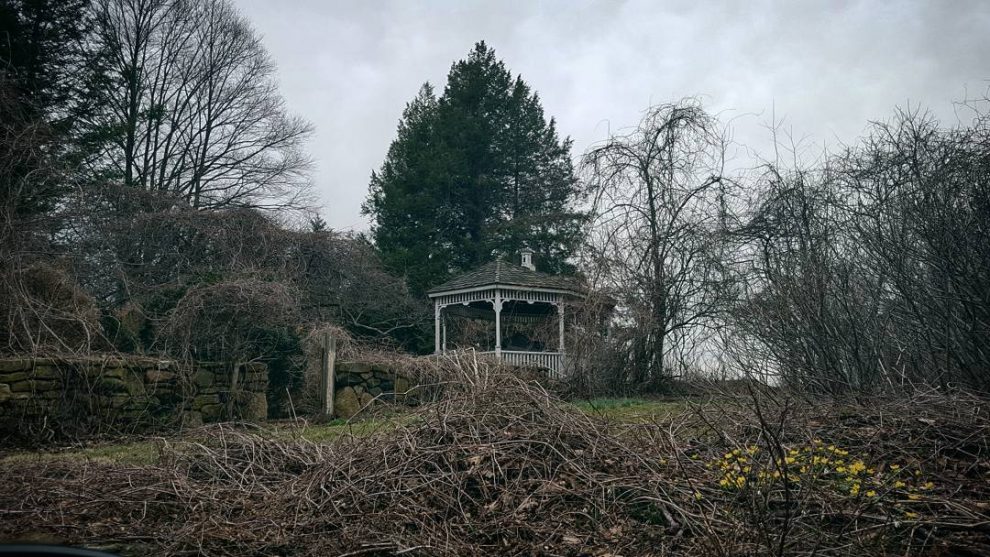 Photographer Johnny Joo Captures Forgotten Structures Overtaken By ...