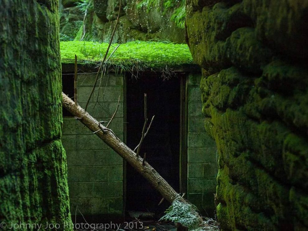 Photographer Johnny Joo Captures Forgotten Structures Overtaken By ...