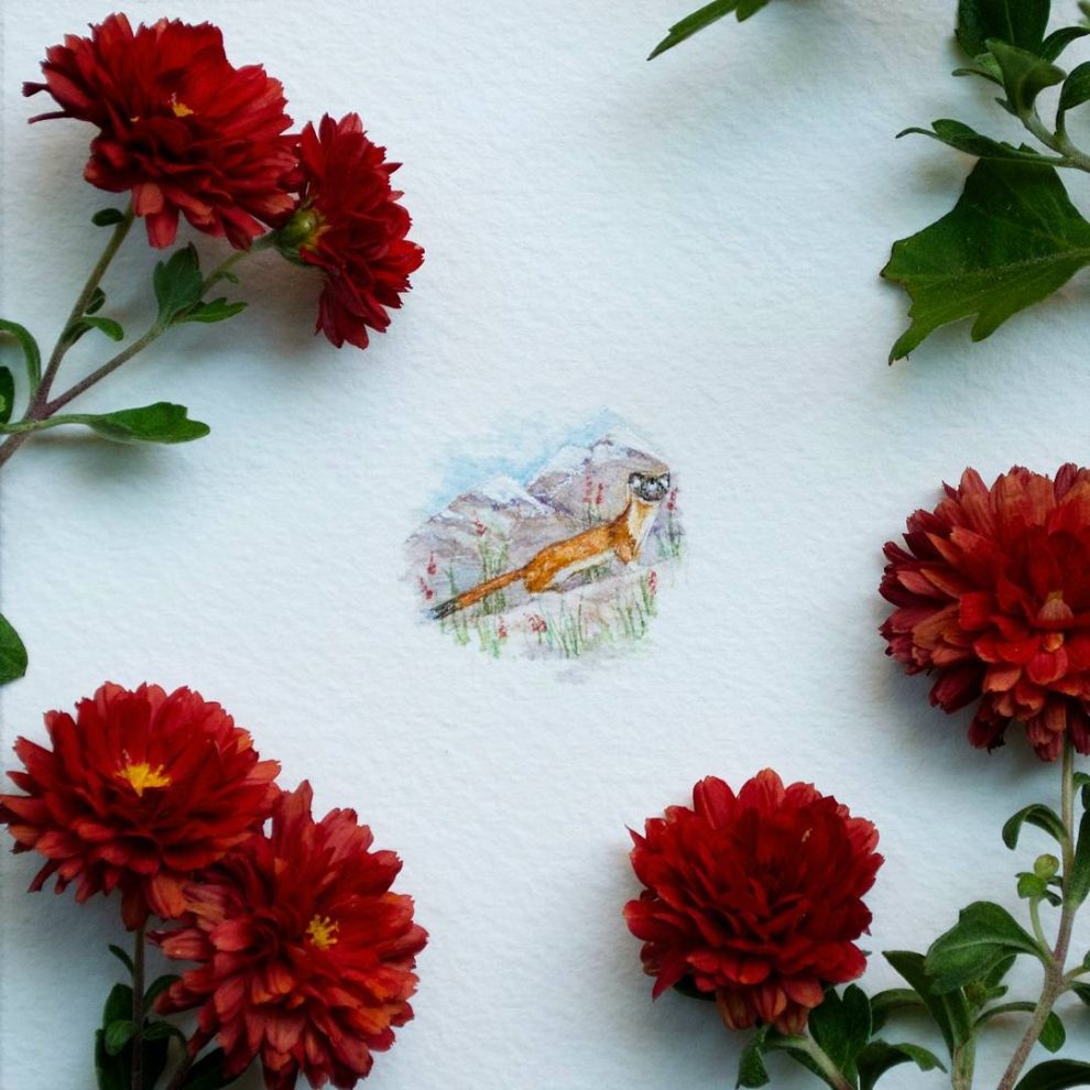 The Superb And Cute Miniature Watercolors By Rachel Beltz » Design You ...