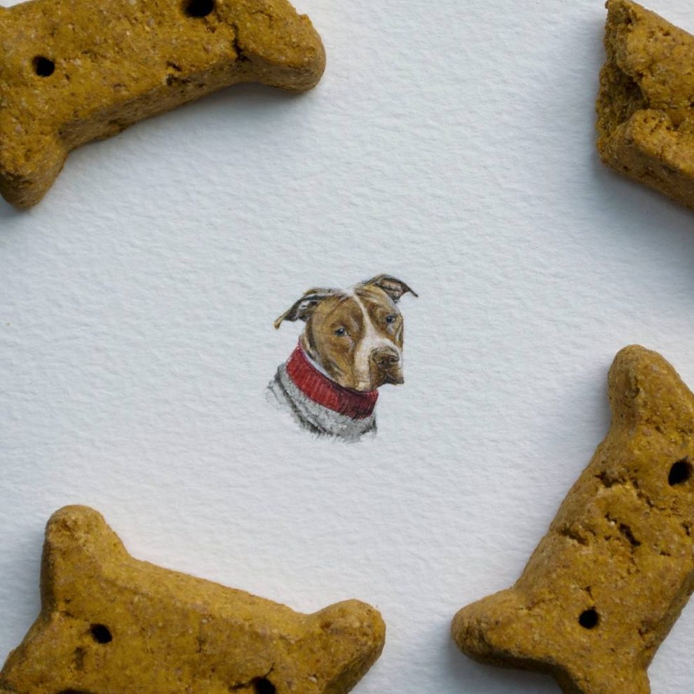 The Superb And Cute Miniature Watercolors By Rachel Beltz » Design You ...