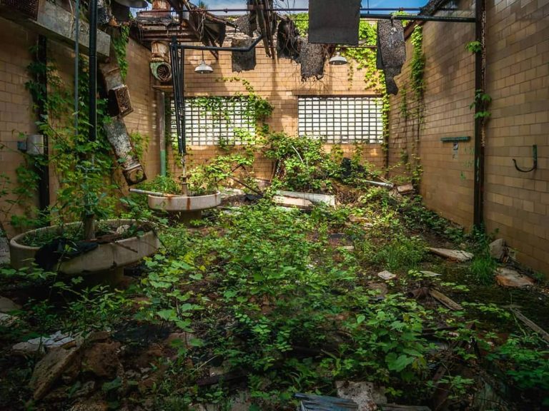 Photographer Johnny Joo Captures Forgotten Structures Overtaken By ...