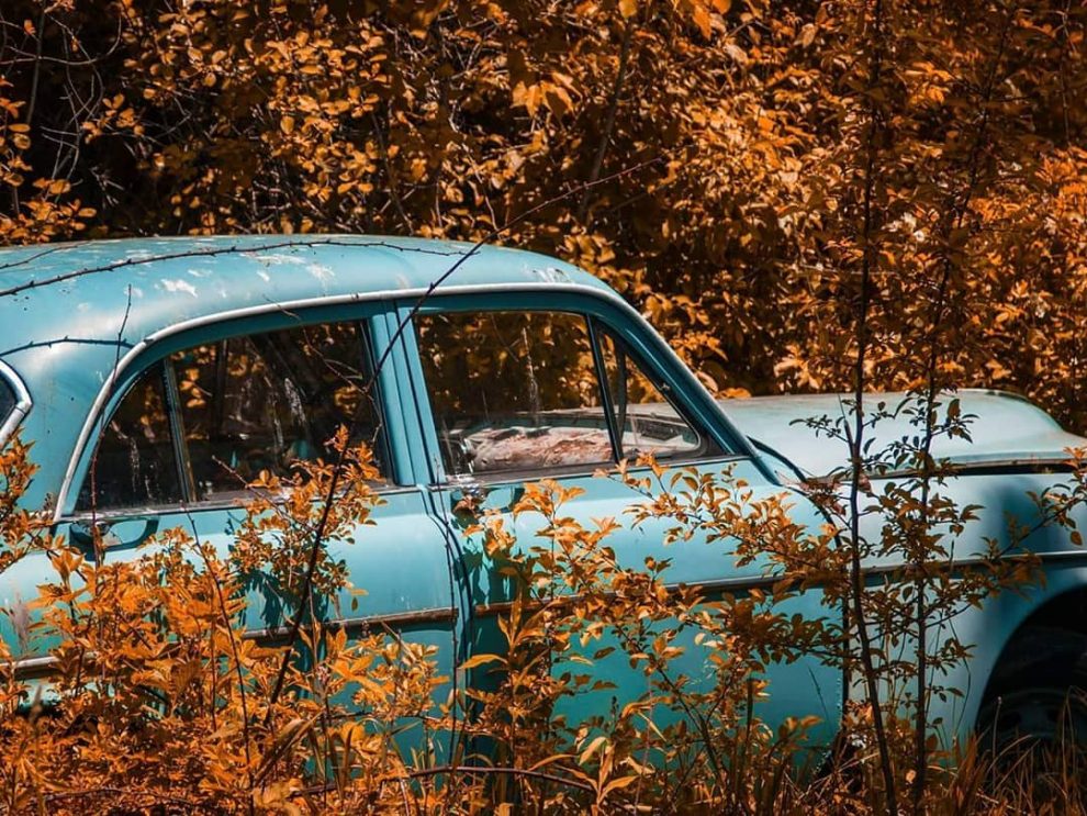 Photographer Johnny Joo Captures Forgotten Structures Overtaken By ...