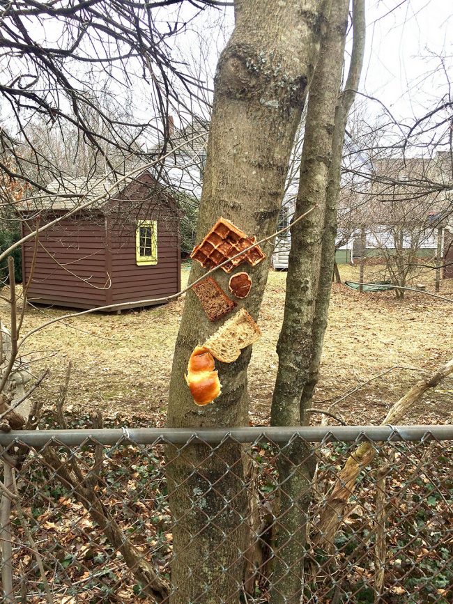 There’s An Online Community About Stapling Bread To Trees » Design You ...