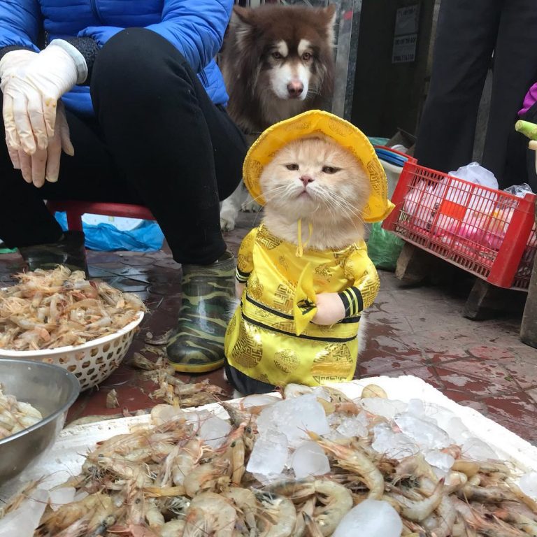 Meet The Cutest Fish Vendor In Vietnam Who Is Taking The Internet By ...