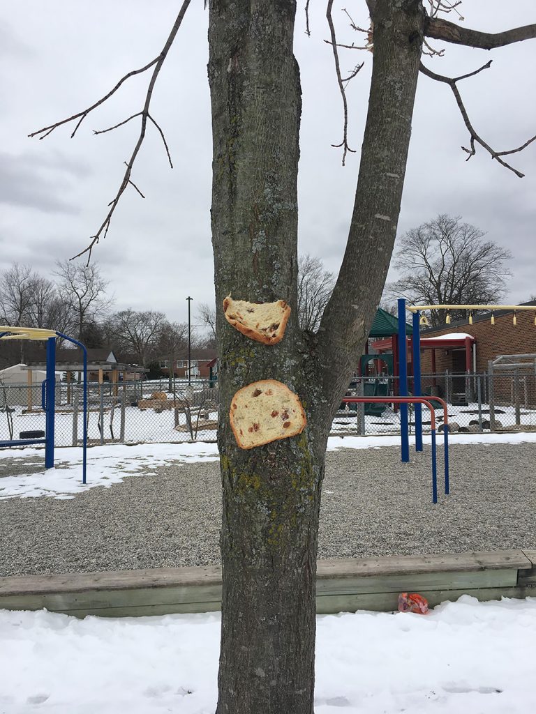 There’s An Online Community About Stapling Bread To Trees » Design You ...