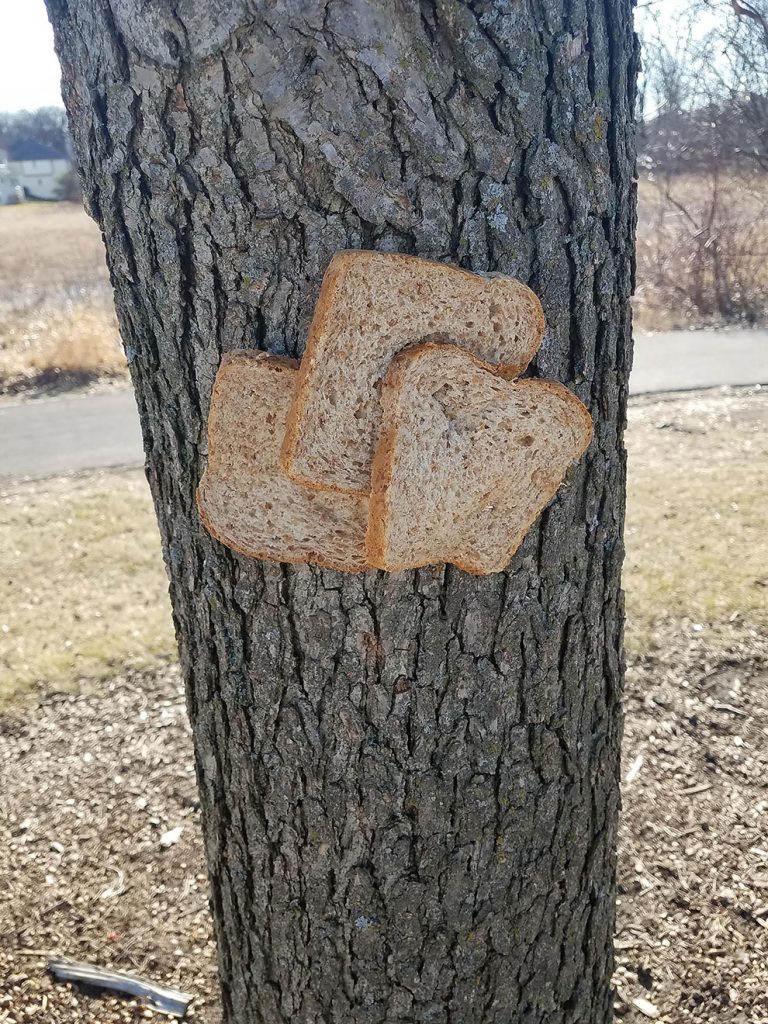 There’s An Online Community About Stapling Bread To Trees » Design You ...